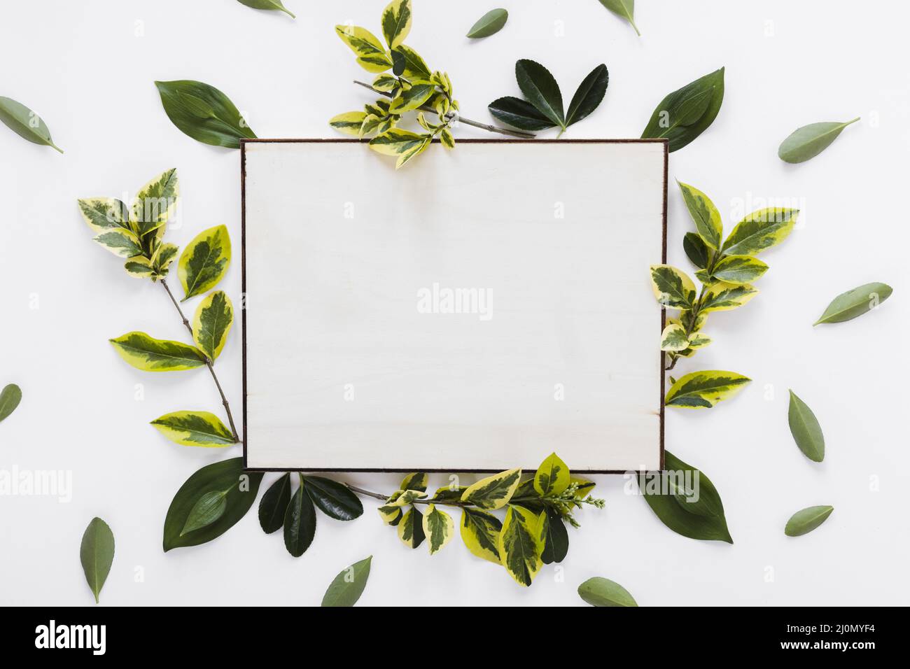 Flat lay template hi-res stock photography and images - Alamy