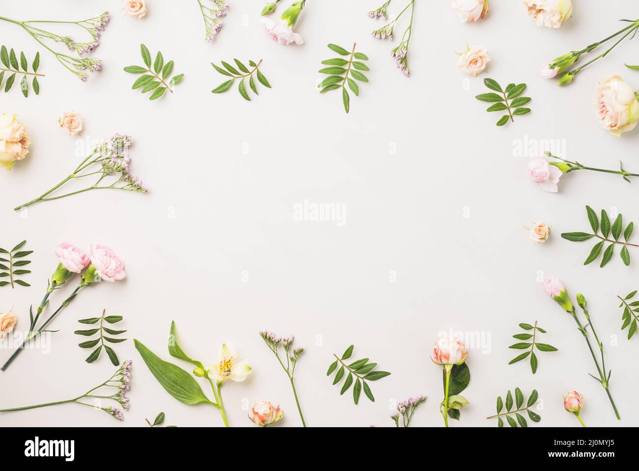 Abstract leaves and flowers border hi-res stock photography and images ...