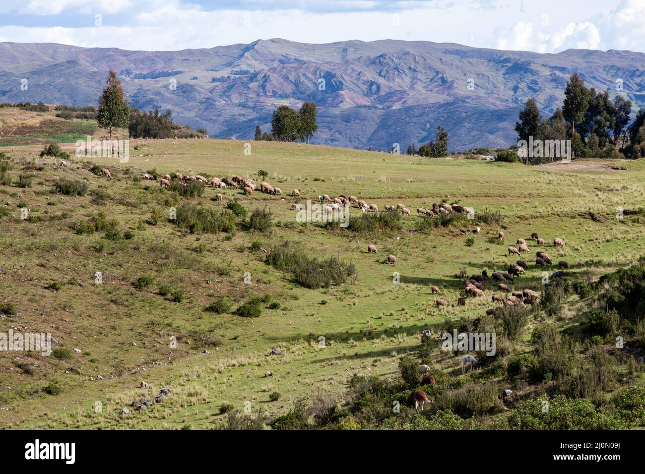 Beautiful view of the Puka Pukara Inca Archaeological Complex with its ...