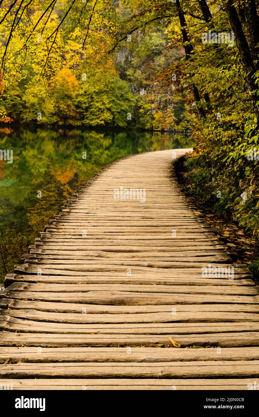 A rustic wooden boardwalk leading along the shores of a picturesque ...