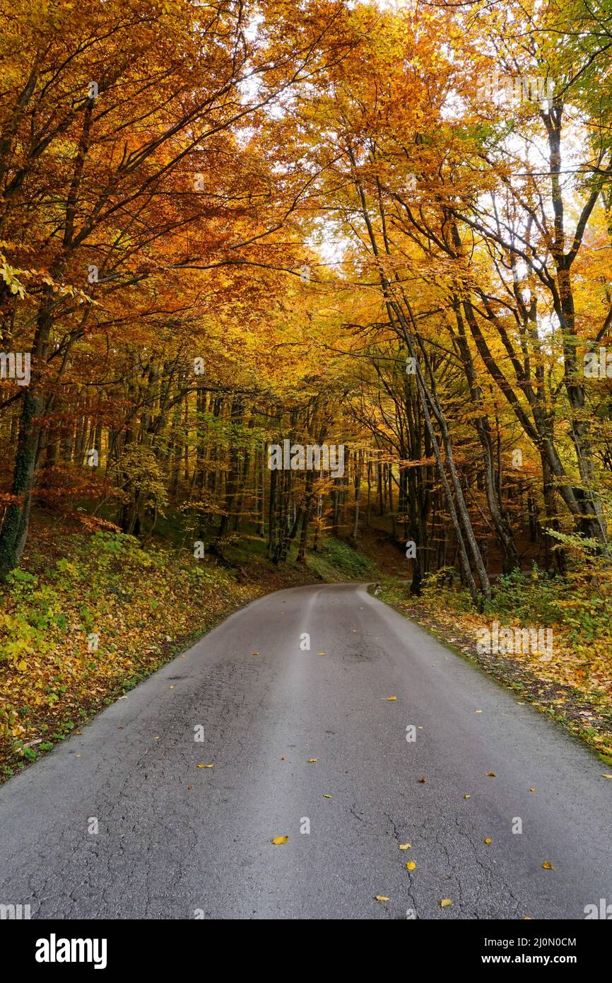 Road winding through lakes hi-res stock photography and images - Alamy