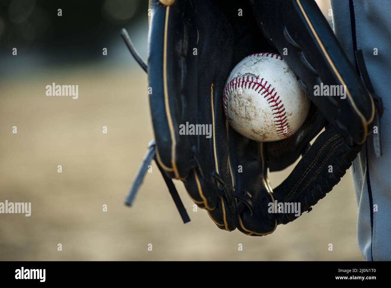 Glove webbing hi-res stock photography and images - Alamy