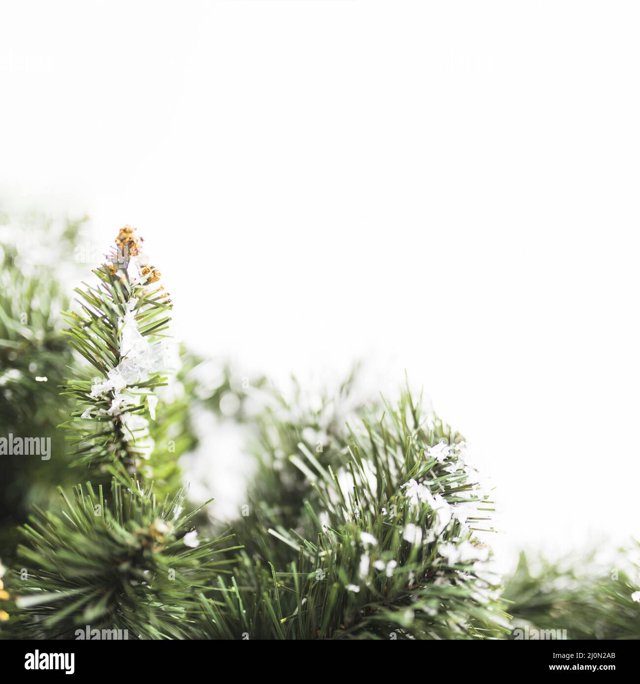 Hand drawn branches and snowflakes hi-res stock photography and images ...