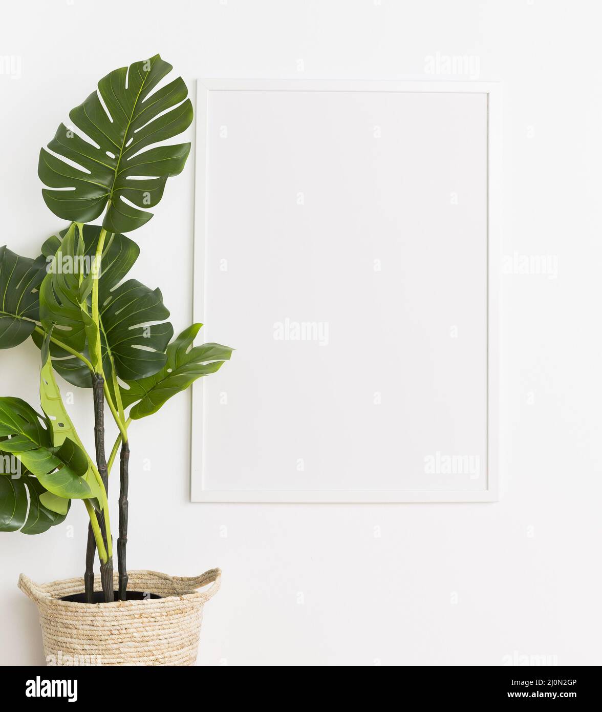 Empty plant hi-res stock photography and images - Alamy