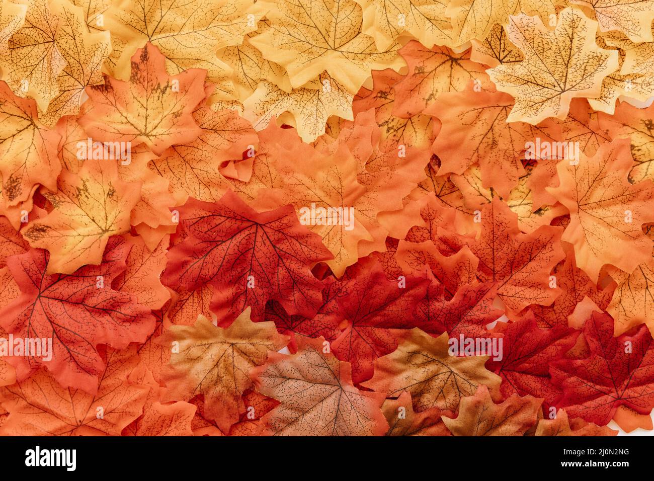 Flat lay fall leaves surface Stock Photo - Alamy