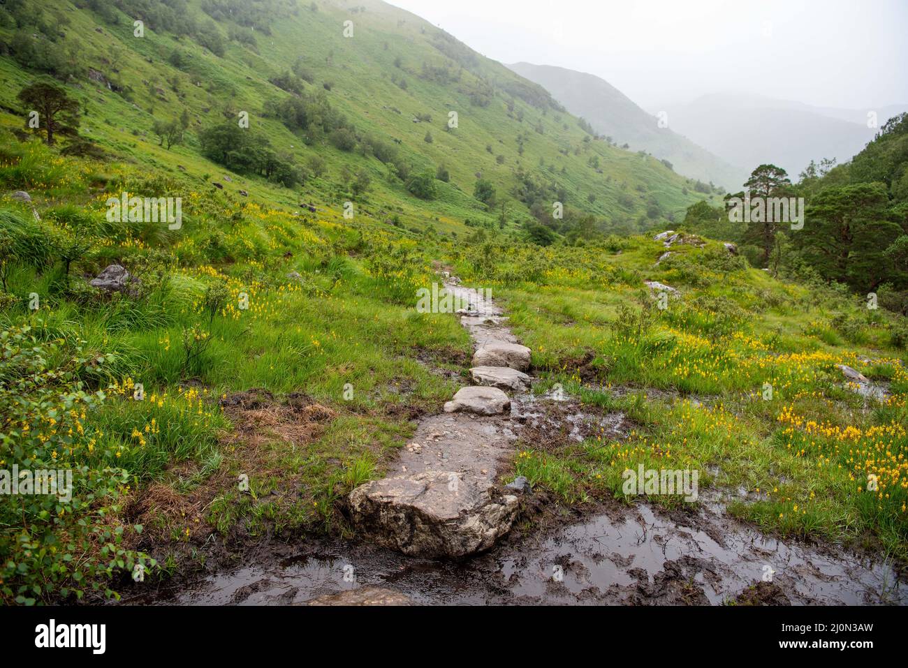 Landscape photo of a hill Stock Photo - Alamy