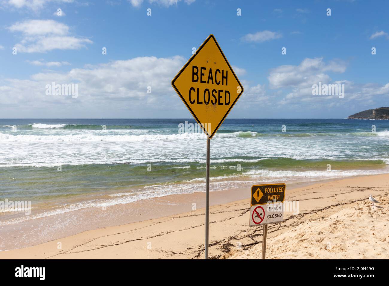 Beach closed sign and polluted waters sign at Manly Beach in Sydney,NSW ...