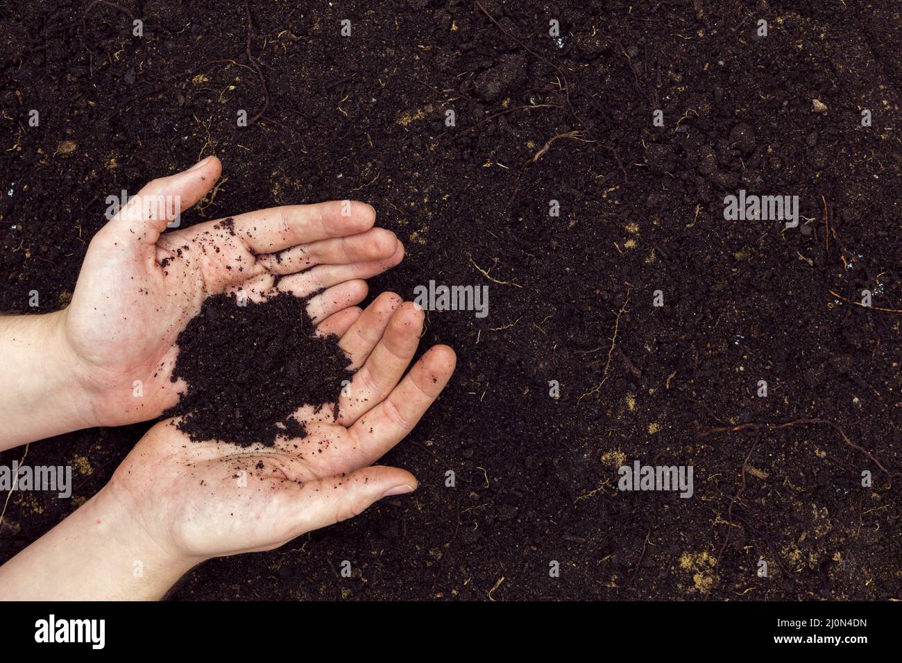 Flat lay hands with soil copy space Stock Photo - Alamy