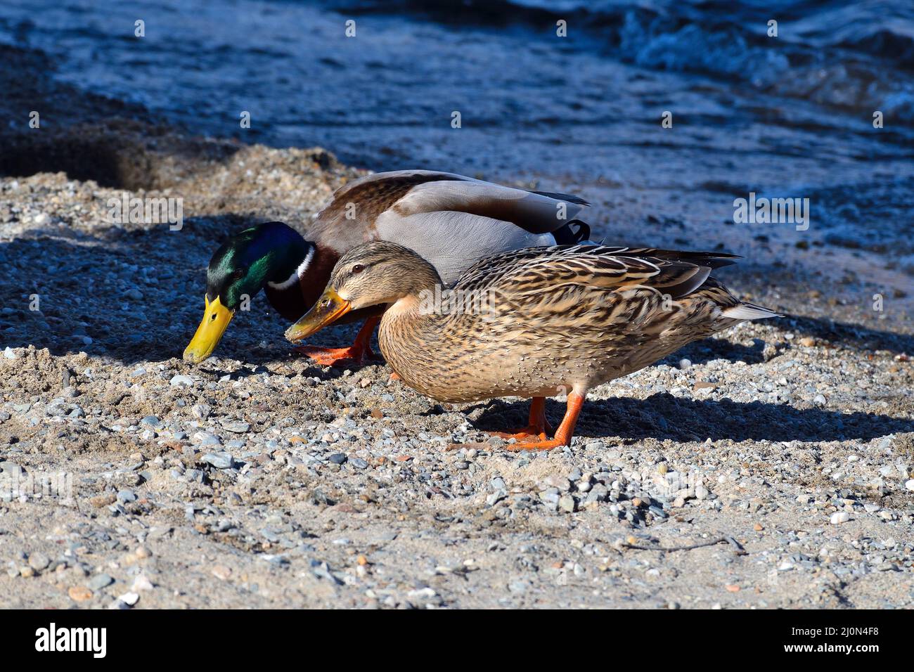 View of Luss Stock Photo - Alamy