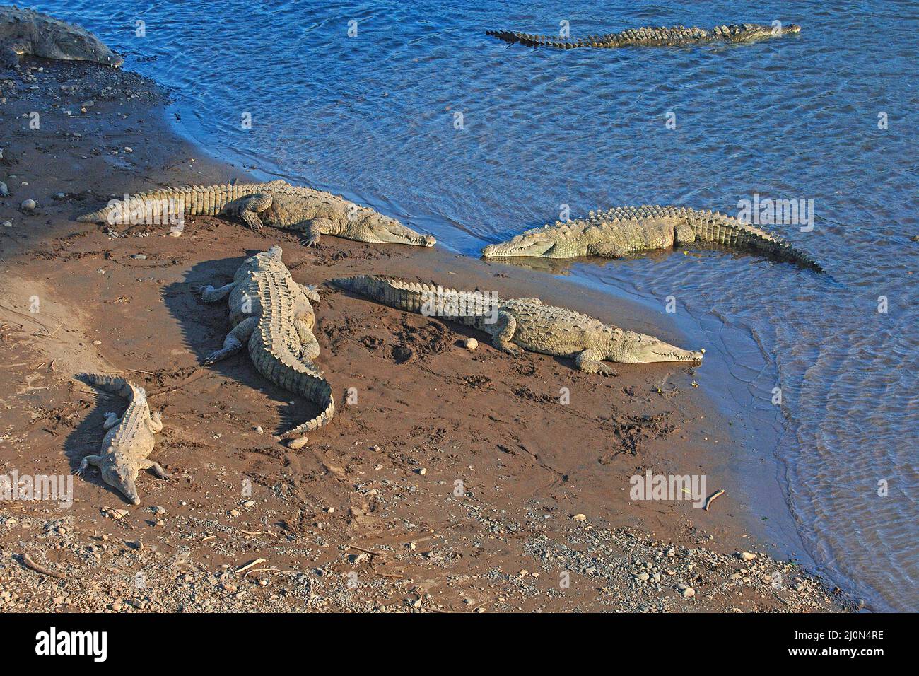 Terraba costa rica hi-res stock photography and images - Alamy