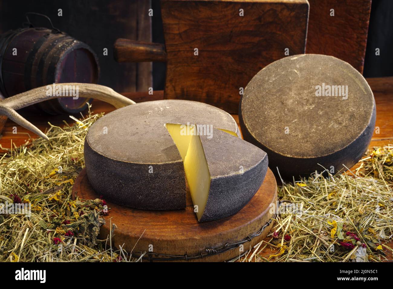 Traditional aged mountain cheese of the Alps offered as loaf and piece ...