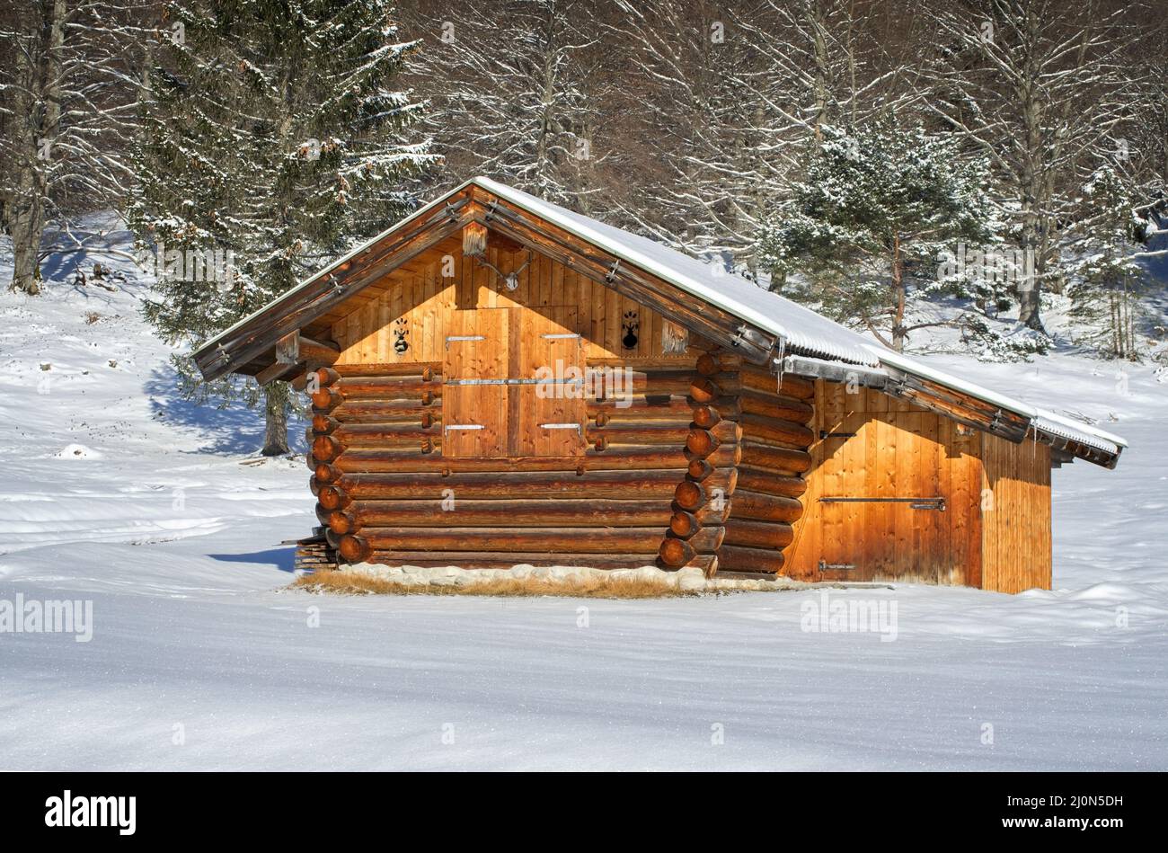 Traditional wooden mountain chalet in cold Winter nature and snowy ...