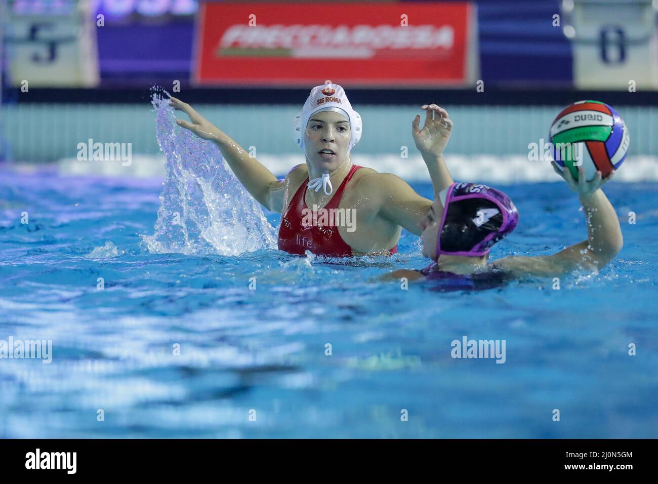 Css l hi-res stock photography and images - Alamy