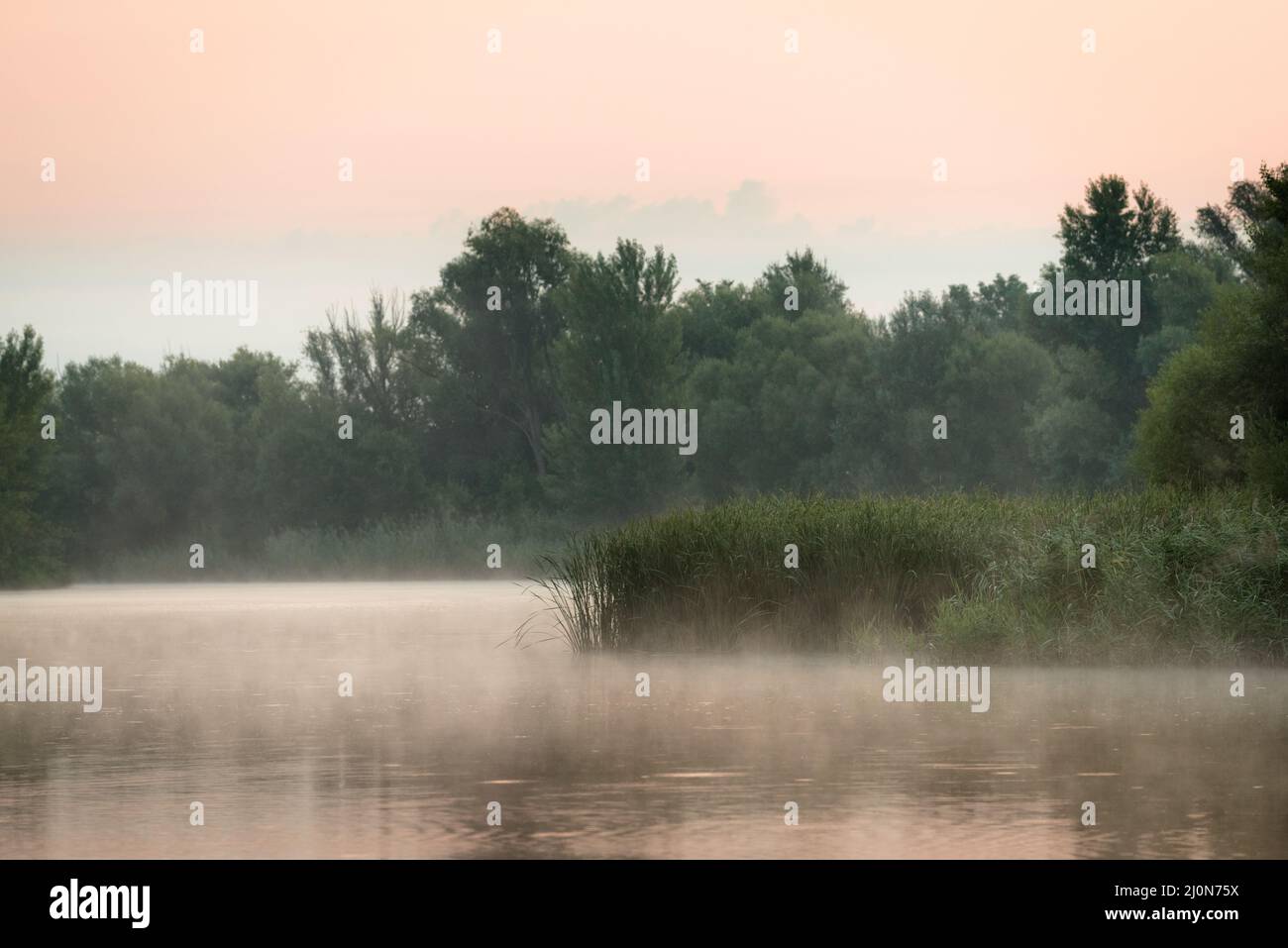 Fog on the water of a lake Stock Photo - Alamy