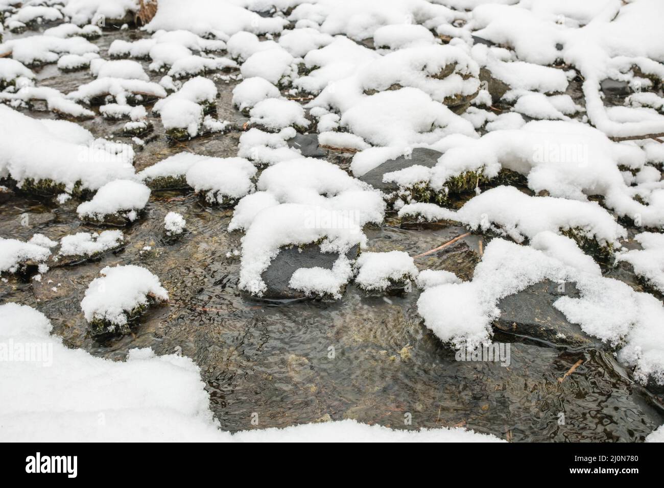 A forest stream in the snow in winter Stock Photo - Alamy