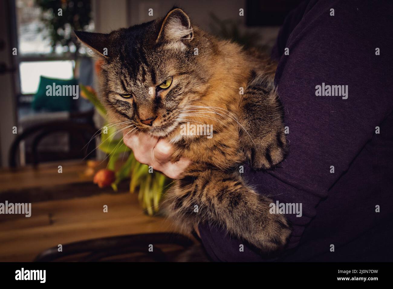 Mans hands angry hi-res stock photography and images - Alamy