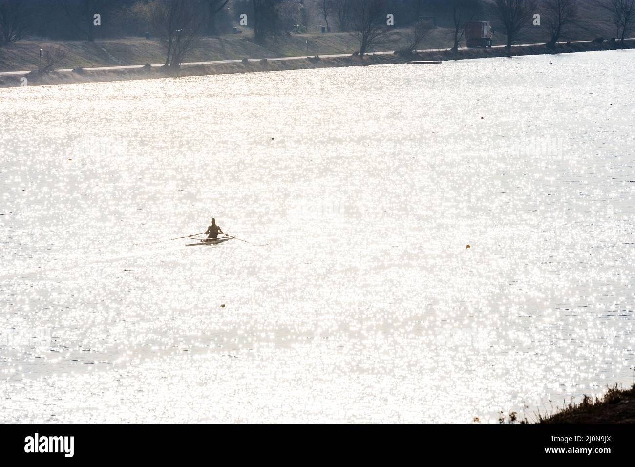 Wien, Vienna: river Neue Donau (New Danube), rower, rowing boat in 22 ...