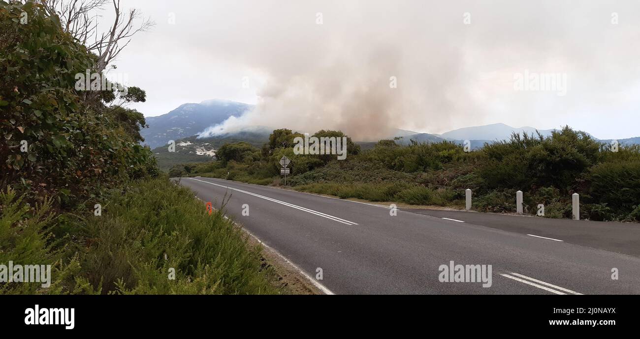 Bush fire .in Wilsons Promontory National Park, Planned burn Stock ...