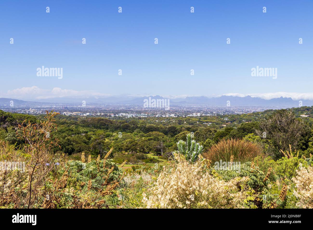 Kirstenbosch park hi-res stock photography and images - Alamy