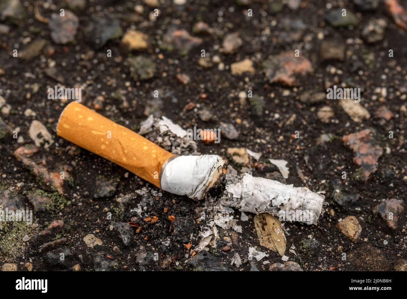 Cigarette butt thrown on the road Stock Photo - Alamy