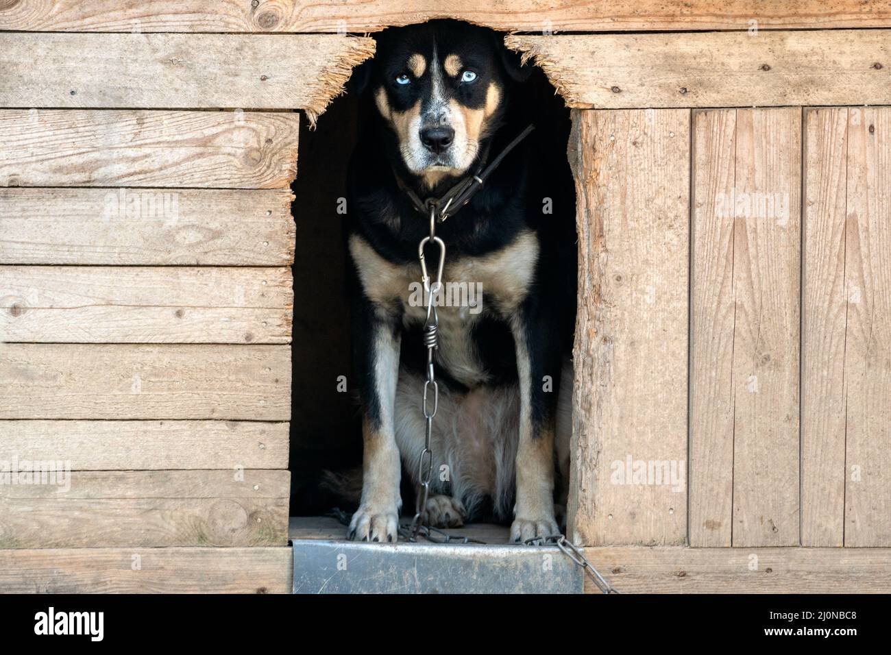 Watching for command hi-res stock photography and images - Alamy