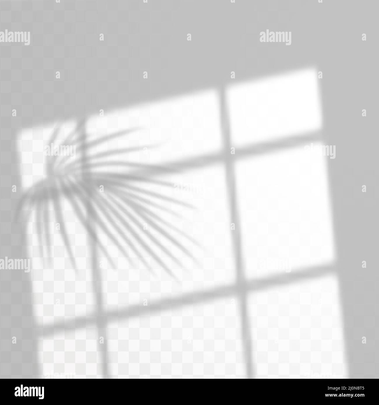 The effect of overlaying shadows. Natural light layout.Realistic shadow ...