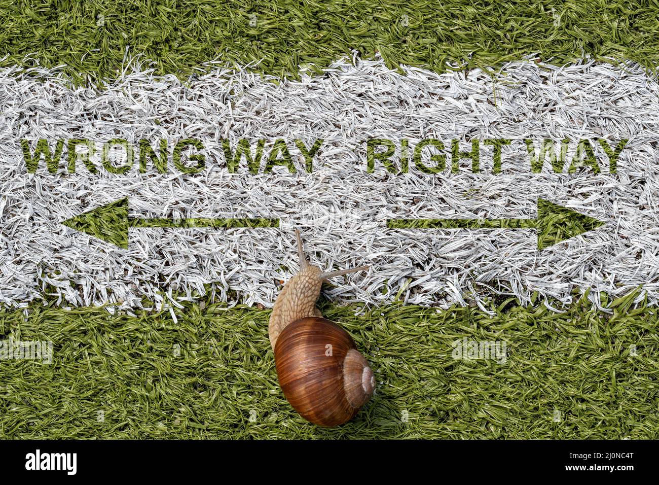 Choosing right path success hi-res stock photography and images - Alamy