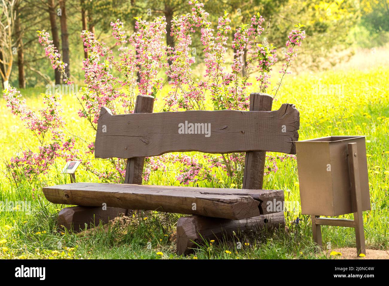 Wooden benches with litter bin Stock Photo - Alamy
