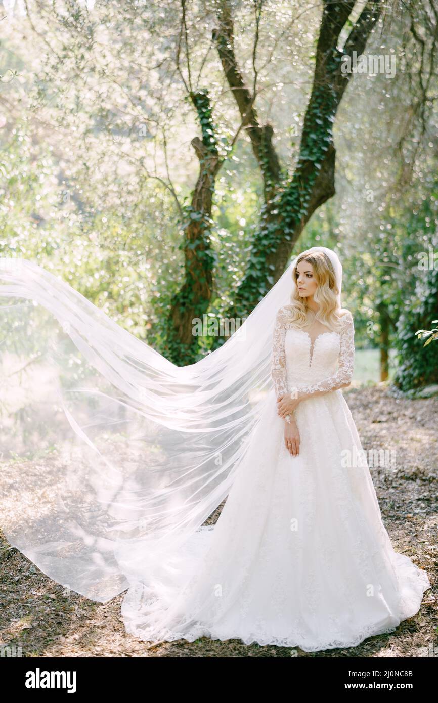 Veil stands hi-res stock photography and images - Alamy