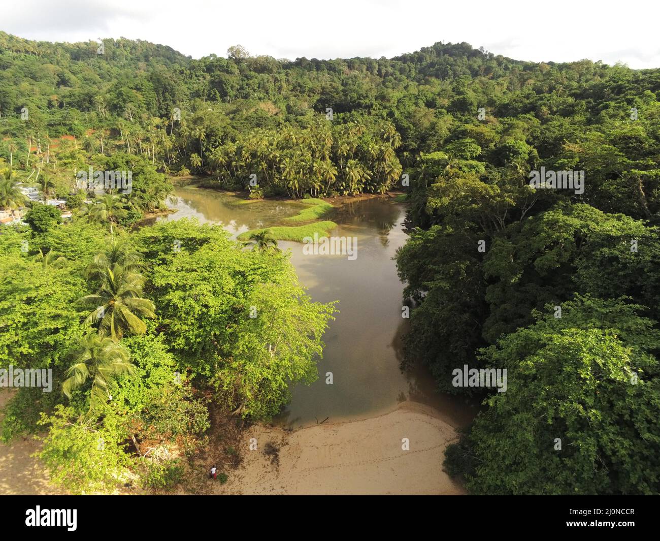 Beautiful view of the jungle in Ilha do Principe, Sao Tome and Principe ...