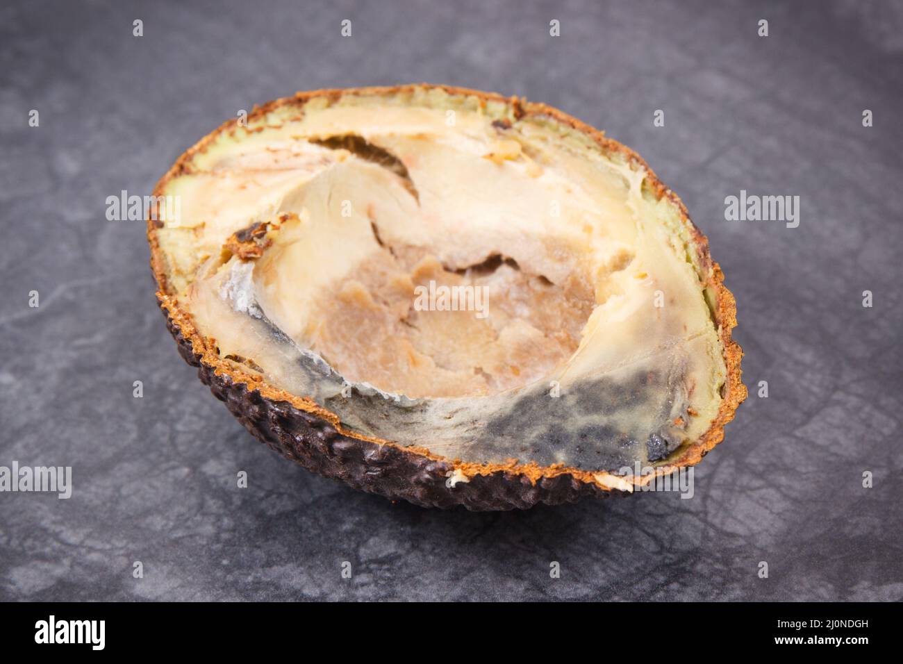 Old moldy avocado on dark wooden board. Unhealthy and disgusting fruit ...