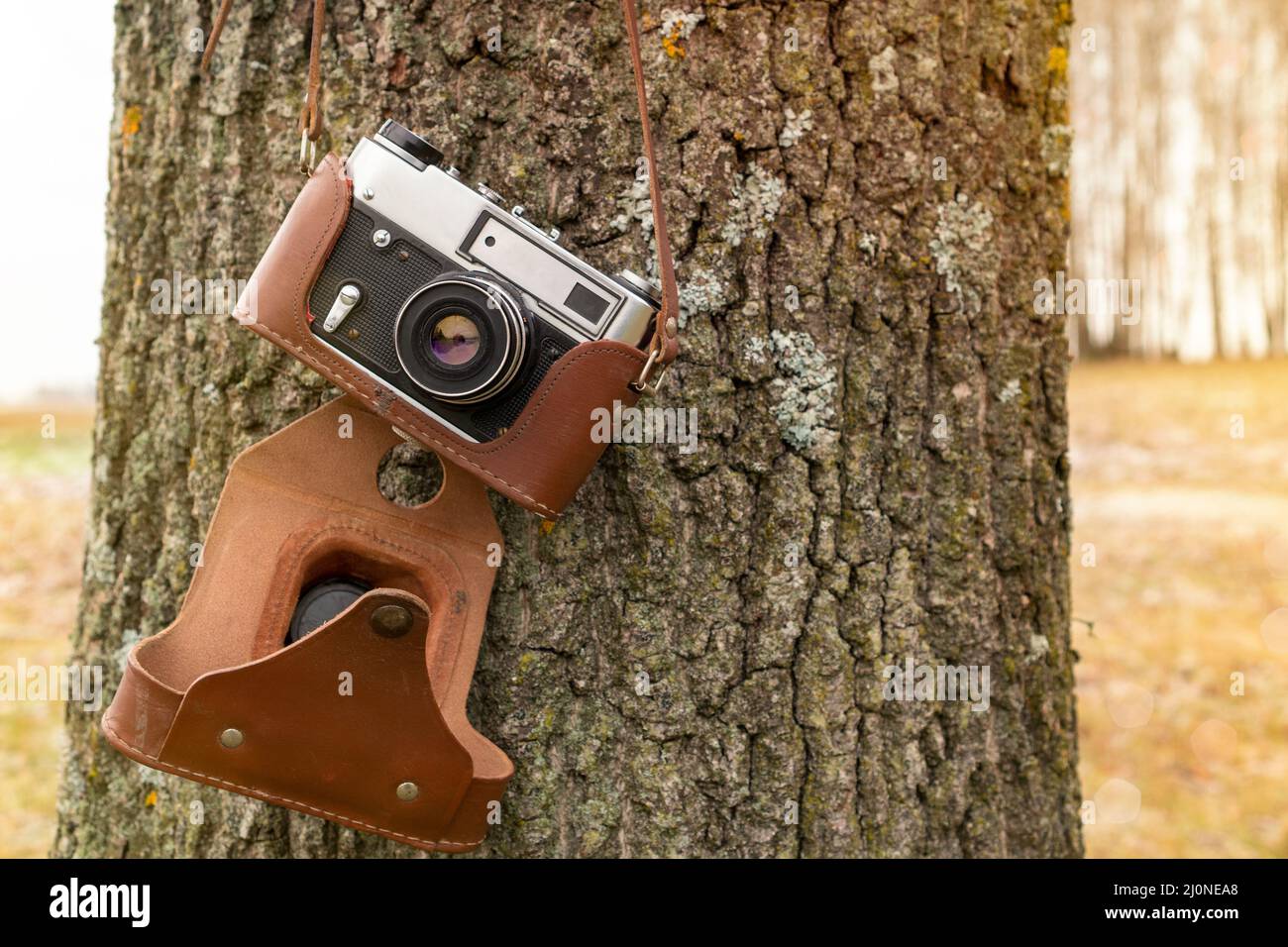 Negative strip hanging hi-res stock photography and images - Alamy