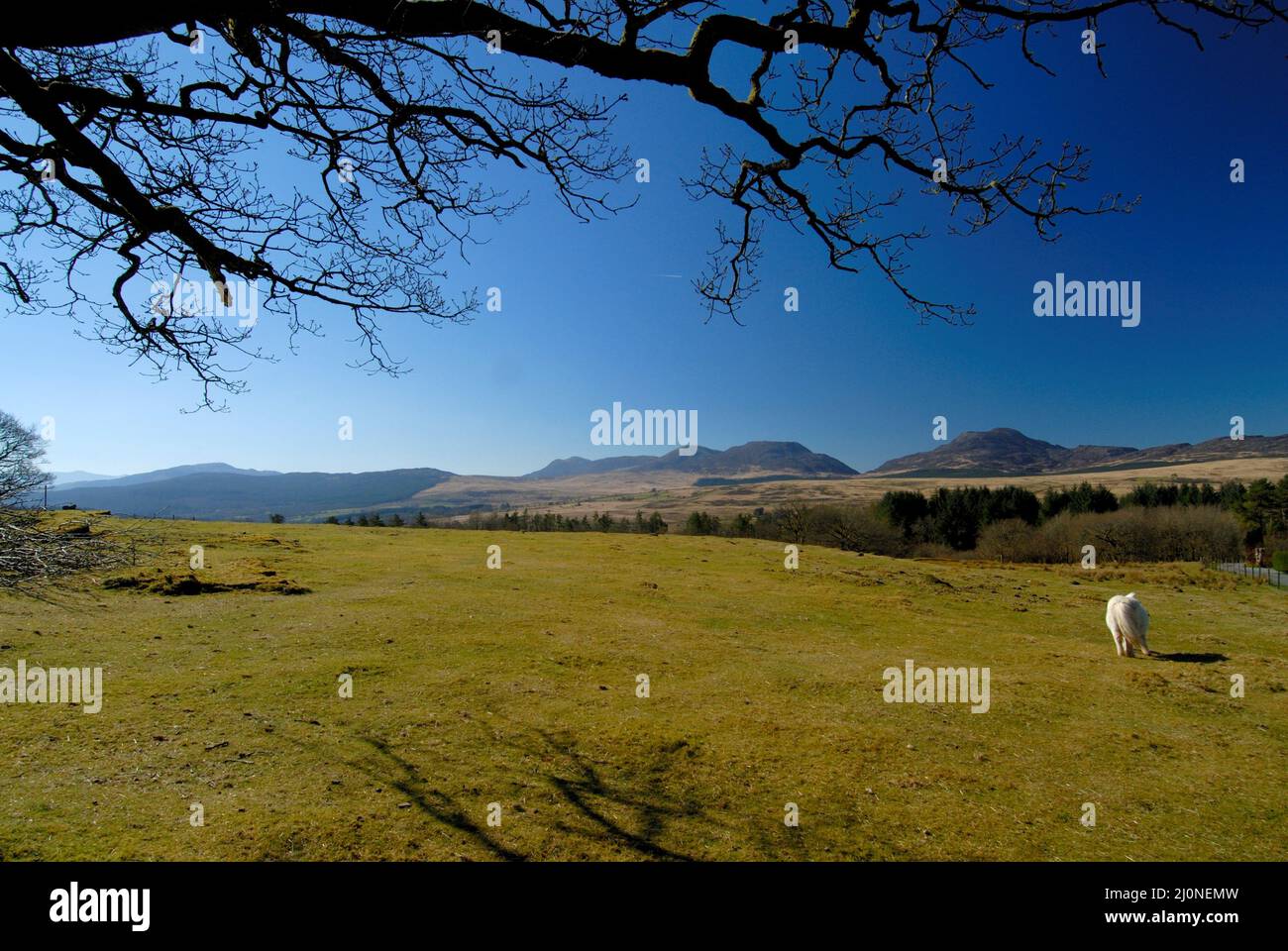 Roman steps north of rhinog fawr hi-res stock photography and images ...
