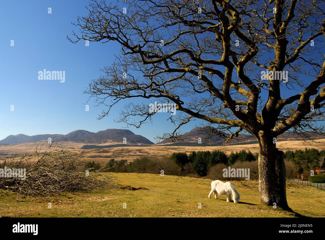 Roman steps north of rhinog fawr hi-res stock photography and images ...