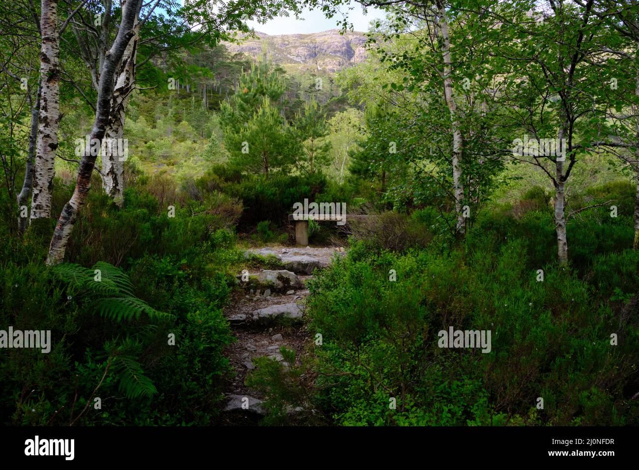 Woodland nature walk hi-res stock photography and images - Alamy
