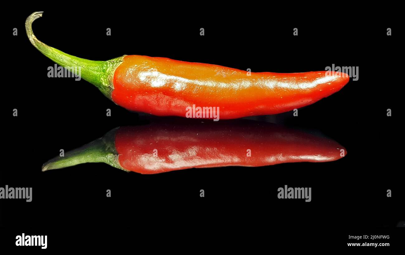 Red chilly. Red hot chilli peppers in black background. Red chilli. Red ...