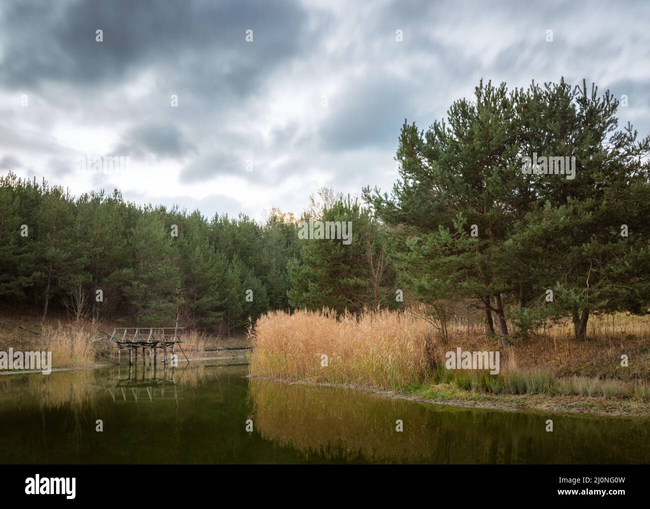 Small forest pond hi-res stock photography and images - Alamy