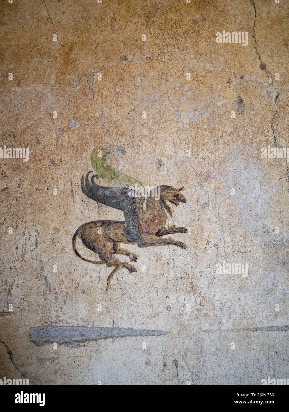 Griffin wall fresco detail of the Casa dell'Efebo, Pompei Stock Photo ...