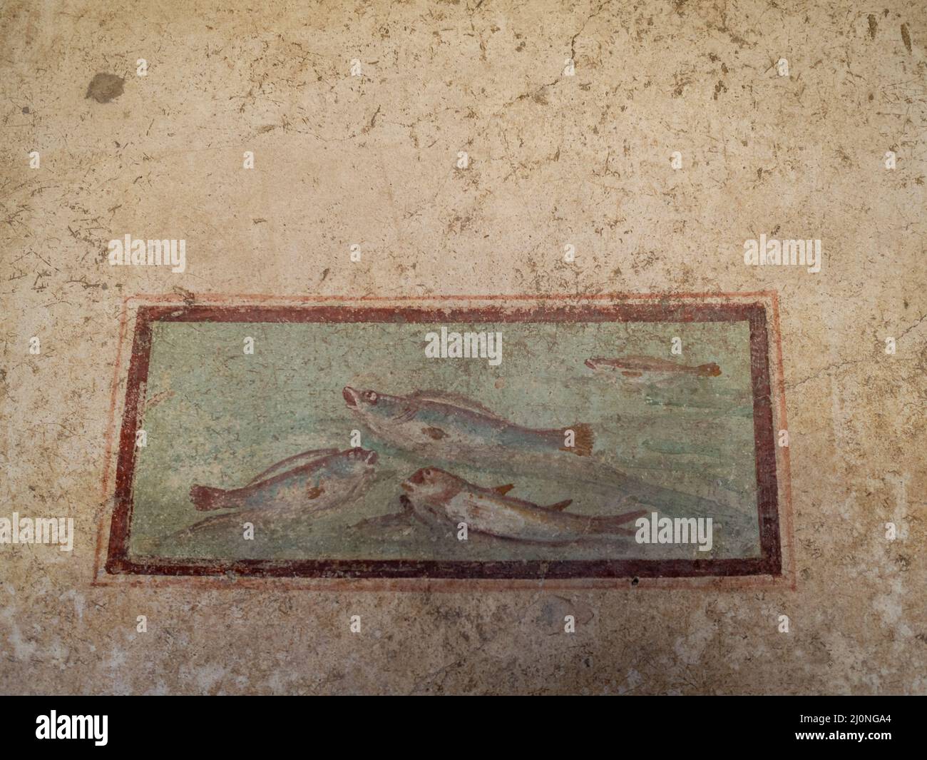 Fish fresco from the Casa dell'Efebo, Pompeii Stock Photo - Alamy