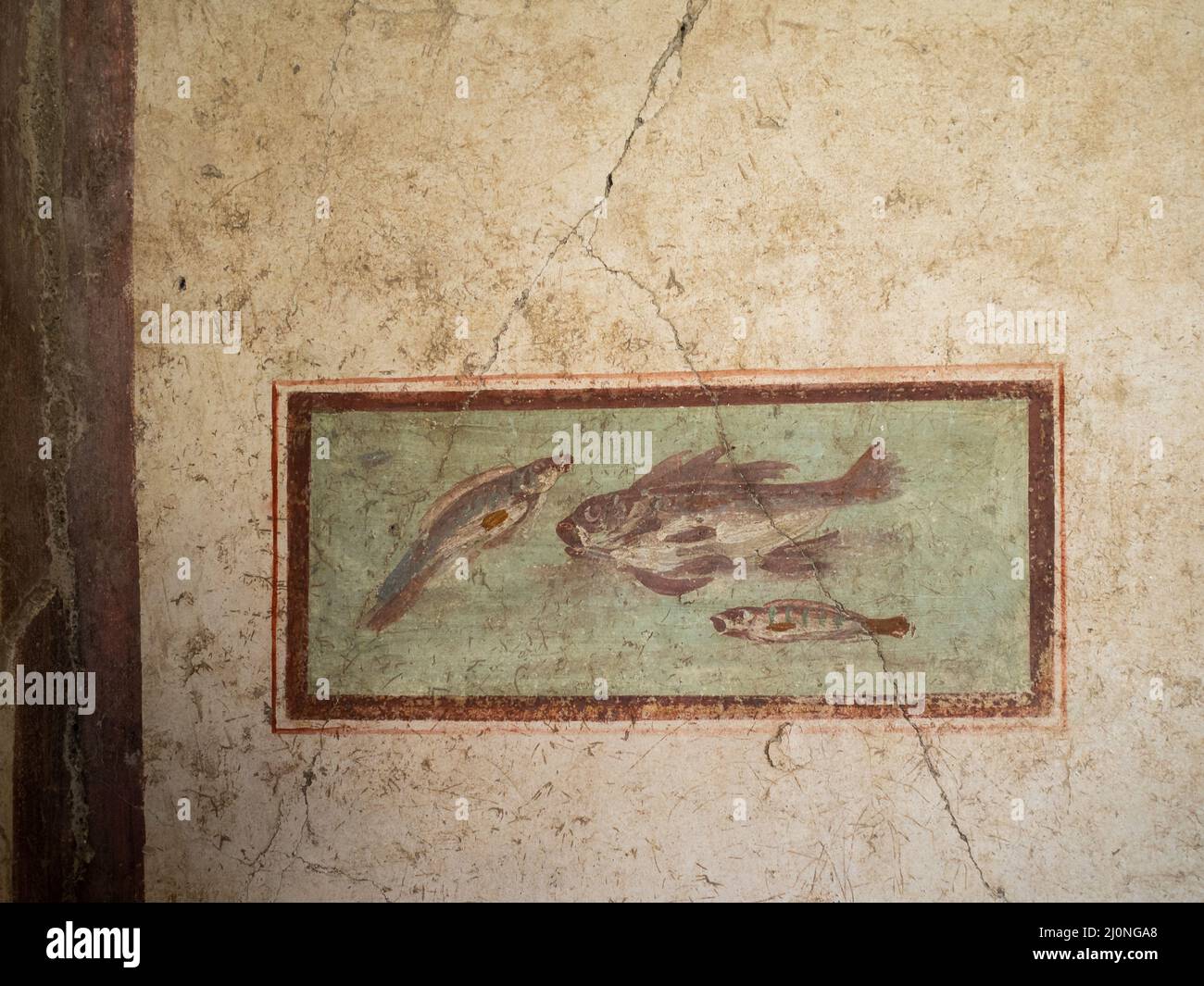 Pompeii fresco fish hi-res stock photography and images - Alamy