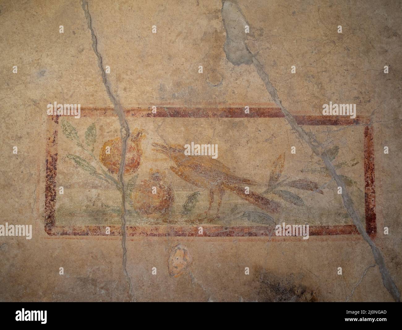 Efebo pompeii hi-res stock photography and images - Alamy