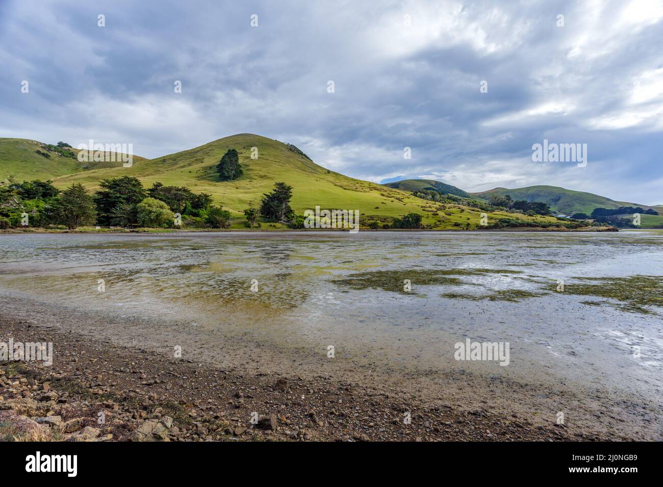 The Otago Peninsula near Dunedin in New Zealand Stock Photo - Alamy