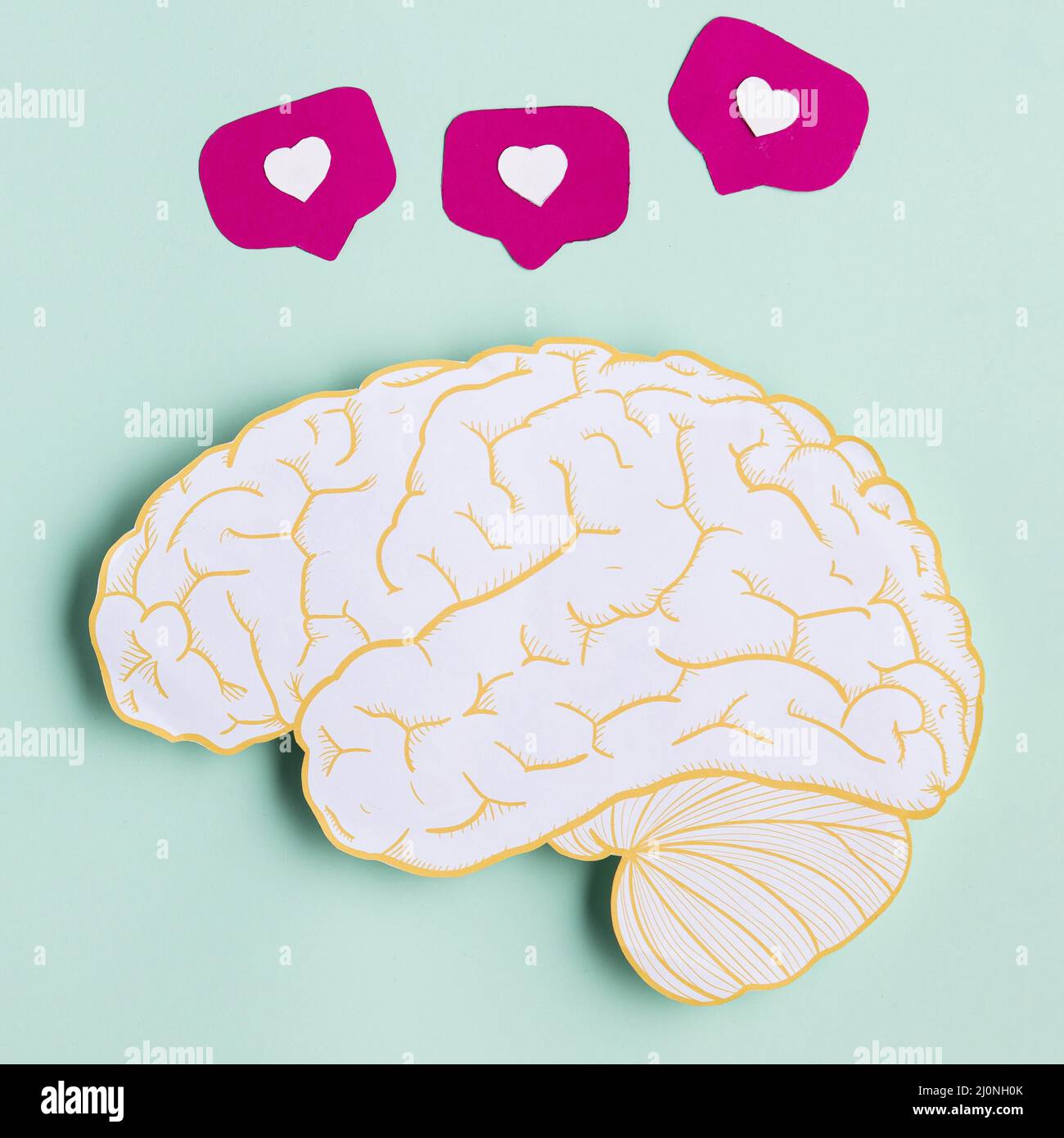 Top view paper brain shape. High quality and resolution beautiful photo ...