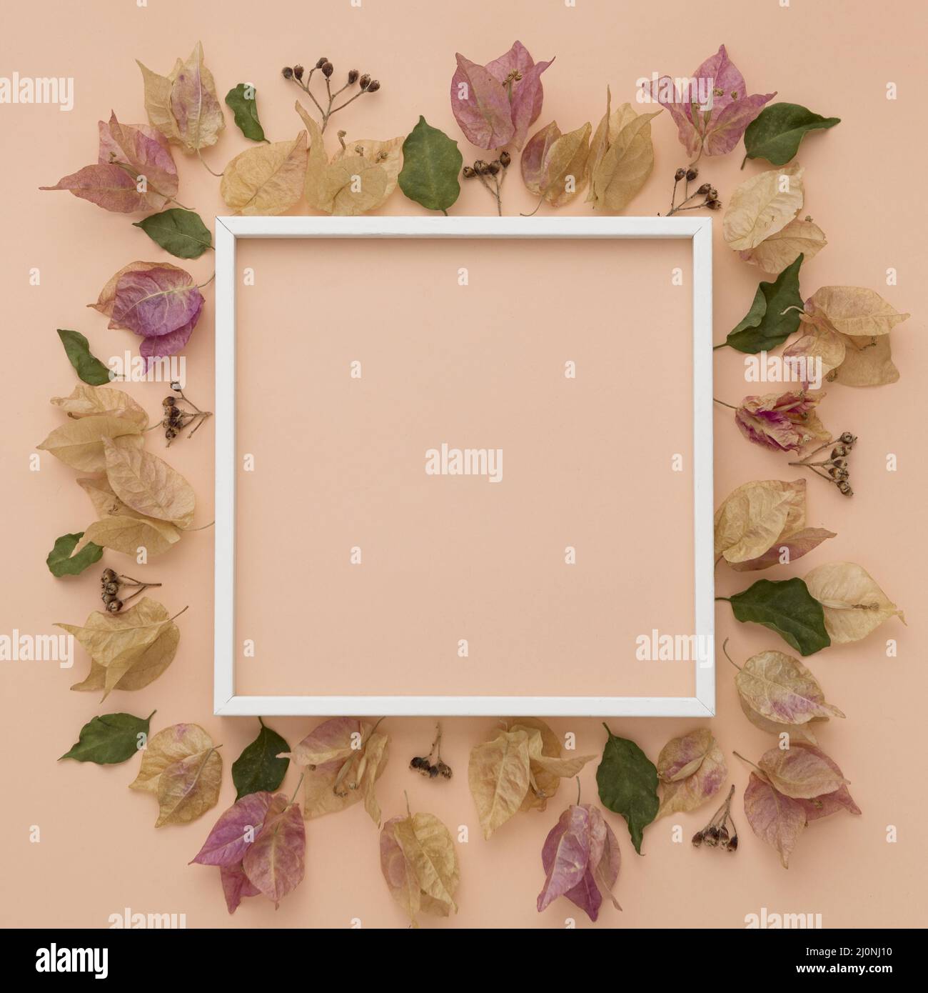 Top view of colorful autumn leaves with frame. High quality and ...