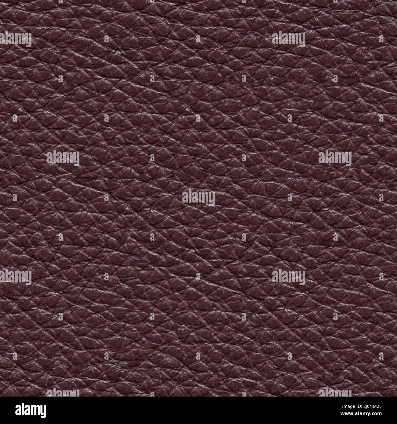 Dark violet grey hi-res stock photography and images - Alamy