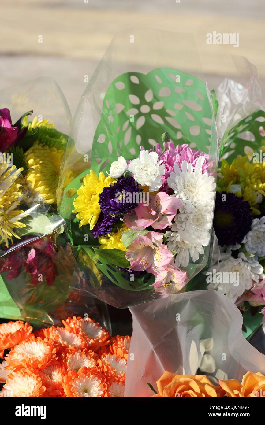 Beautiful bright colorful and cheerful flowers in full bloom at the ...