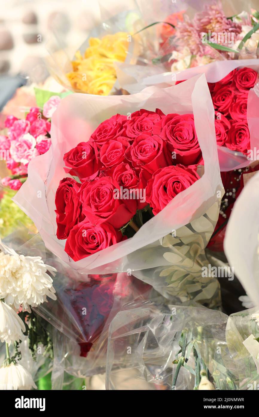 Beautiful bright colorful and cheerful flowers in full bloom at the ...