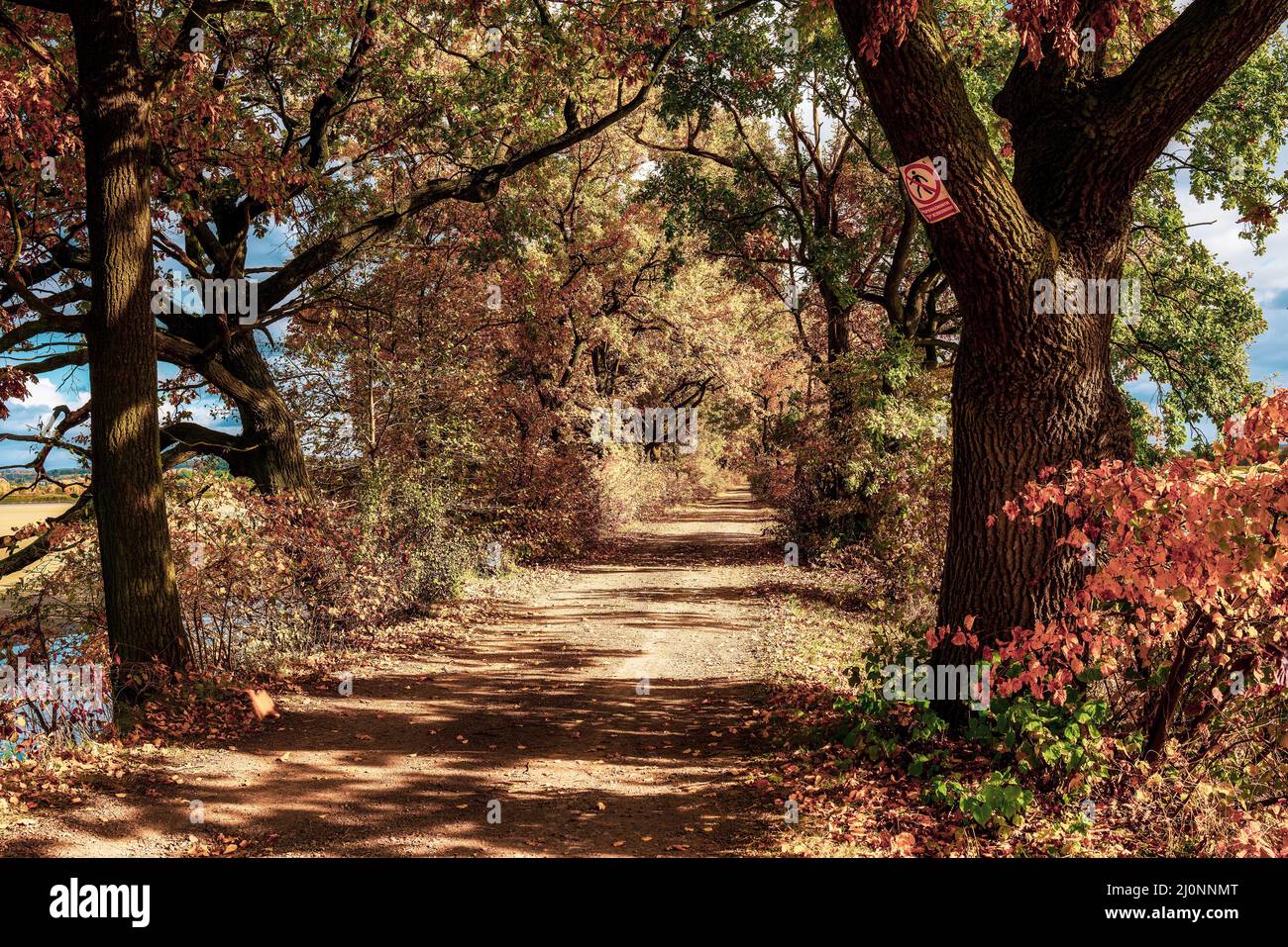 Colorful lane hi-res stock photography and images - Alamy