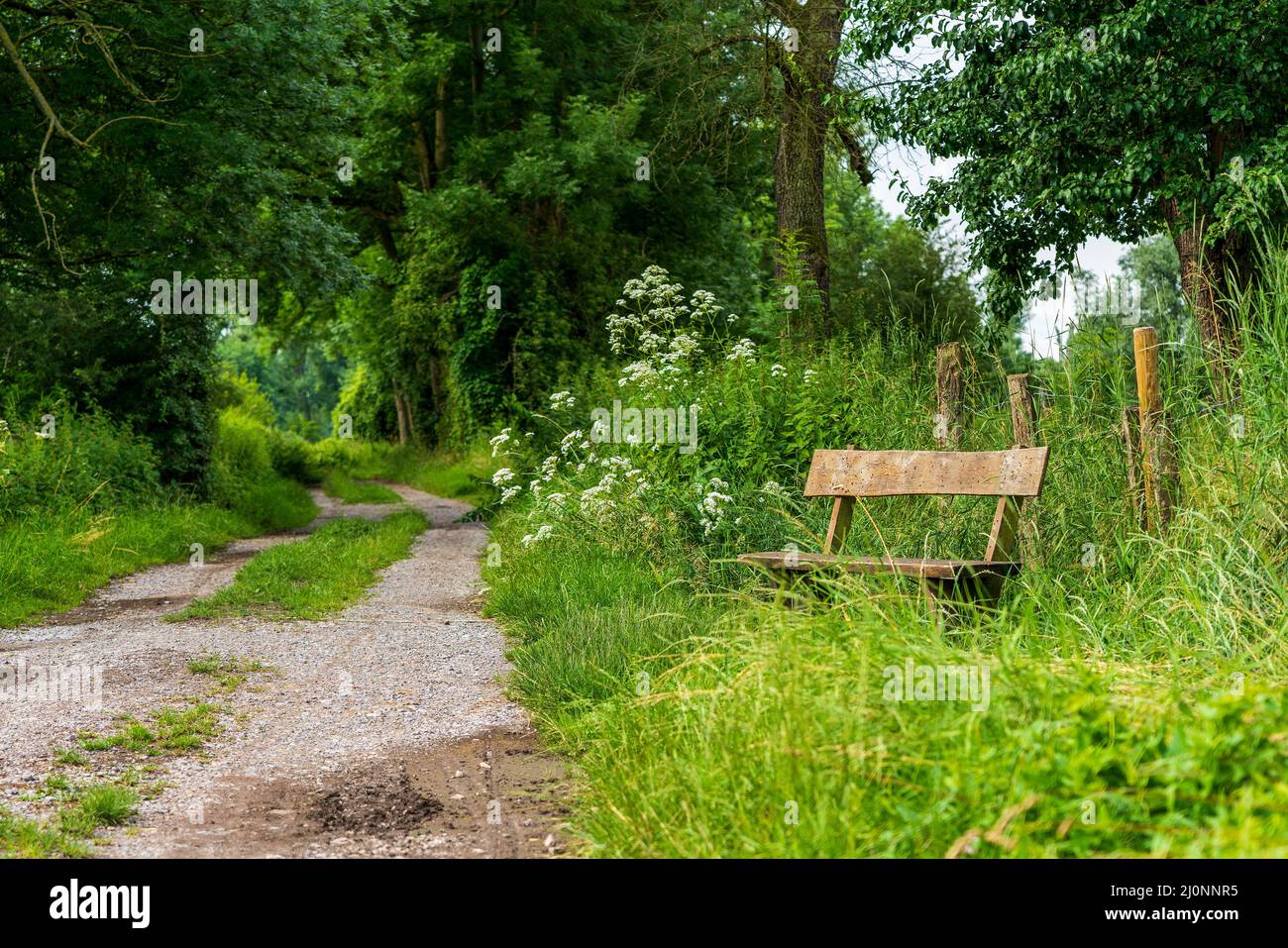 Bench in meadow hi-res stock photography and images - Alamy