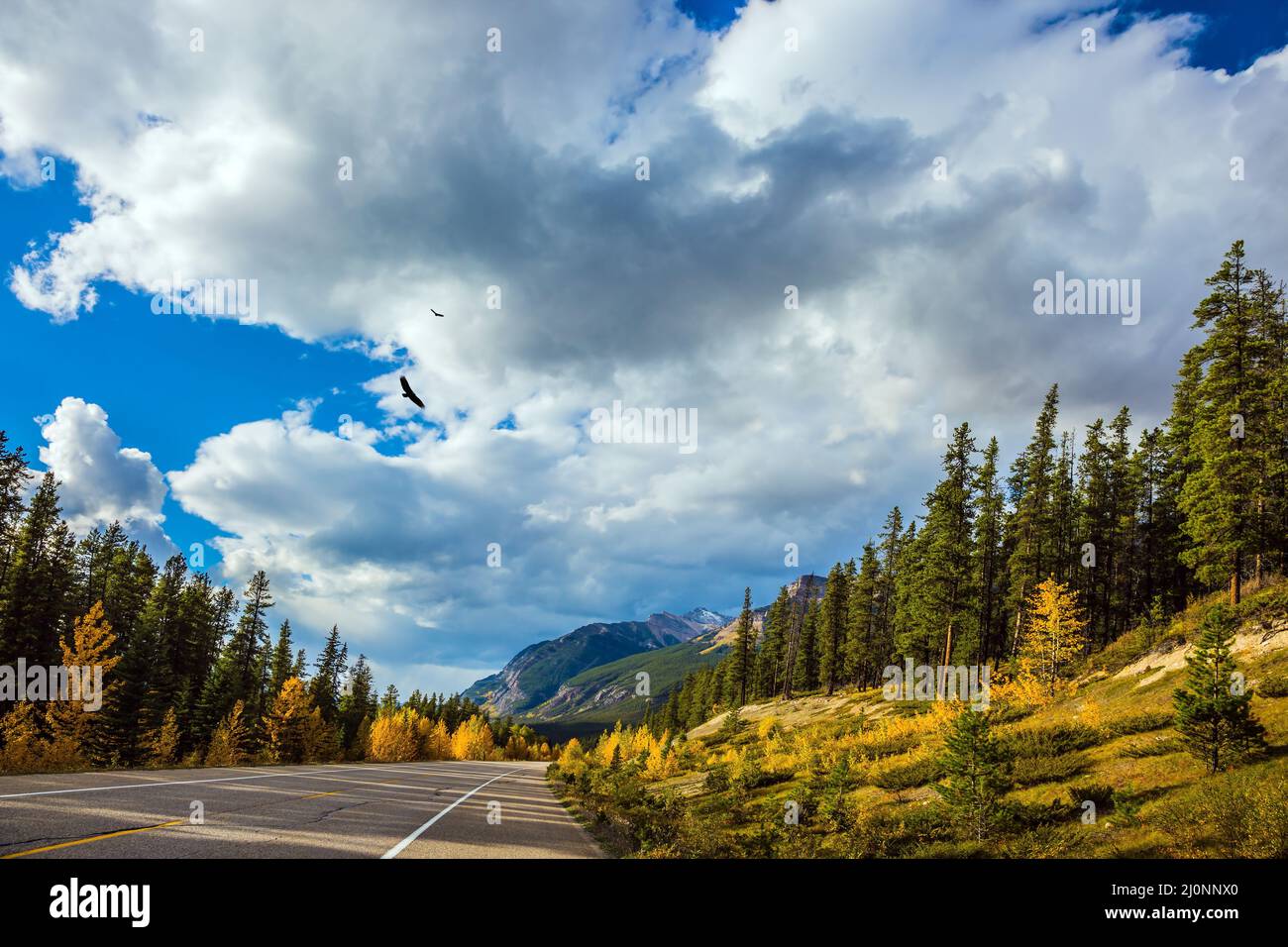 Excellent photo hi-res stock photography and images - Alamy